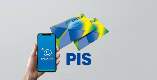 PIS Simplificado: Quem Tem Direito e Tudo que Você Precisa Saber ...